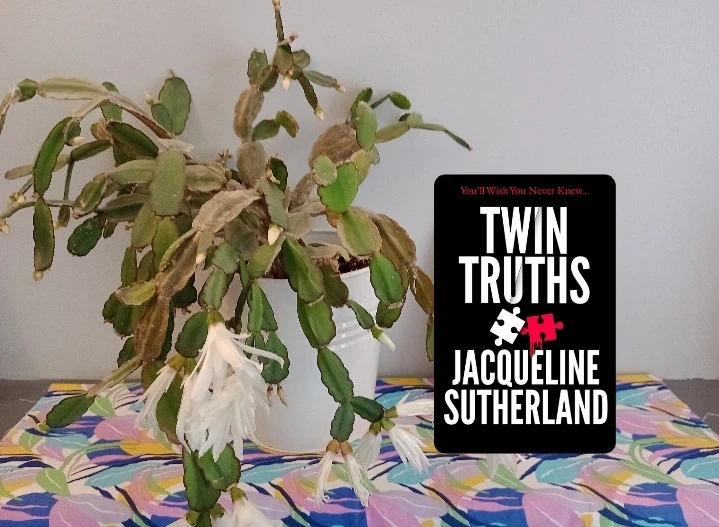 #BlogTour: Twin Truths by Jacqueline Sutherland @writerjac ...