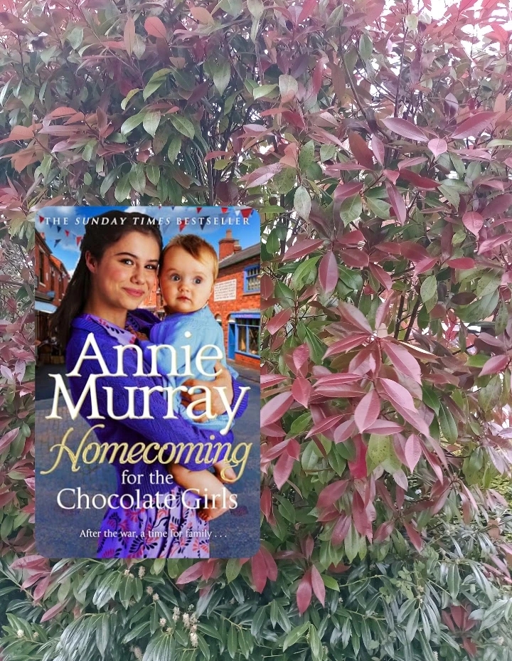 #BlogTour: Homecoming For The Chocolate Girls by Annie Murray ...